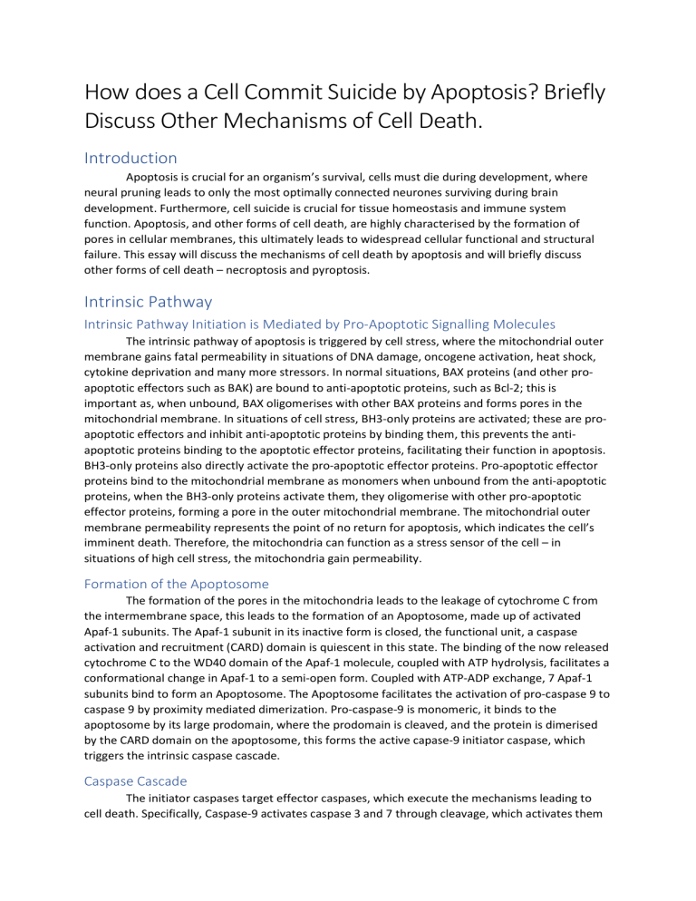 Cell Death Mechanisms: Apoptosis, Necroptosis, Pyroptosis