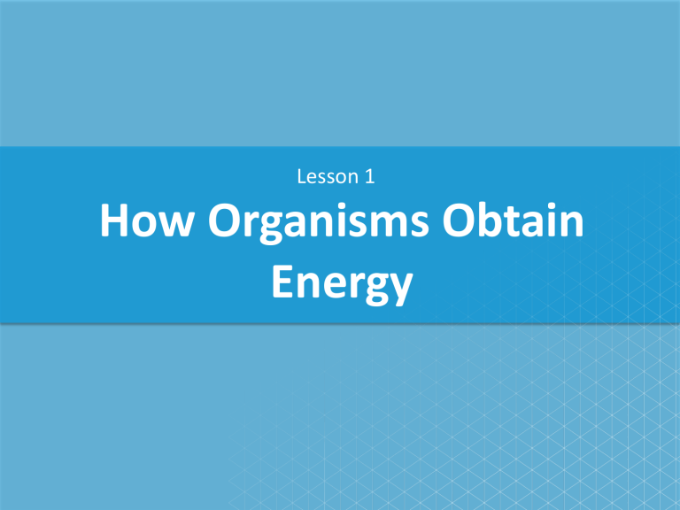 CA Lesson 1 How Organisms Obtain Energy CA Lesson 1 How Organisms Obtain Energy