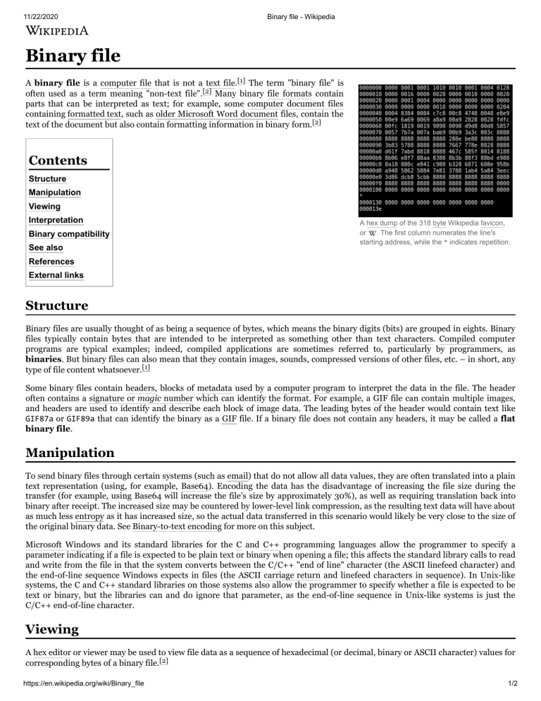 Binary File