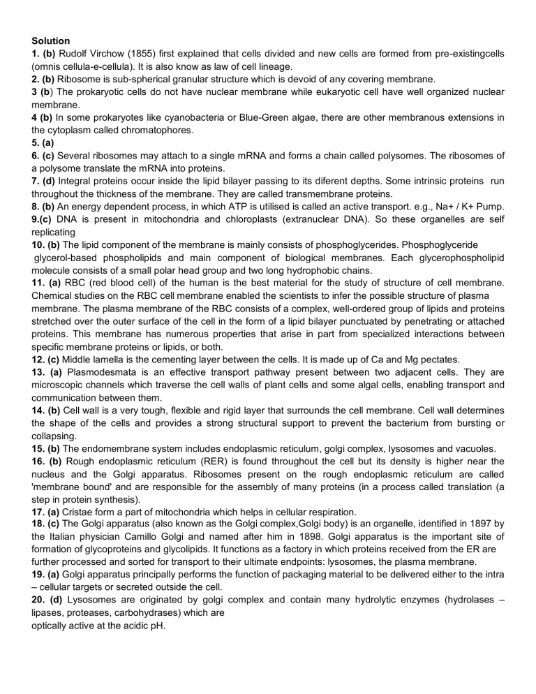 Cell Biology Answer Key: Cell Structure & Organelles