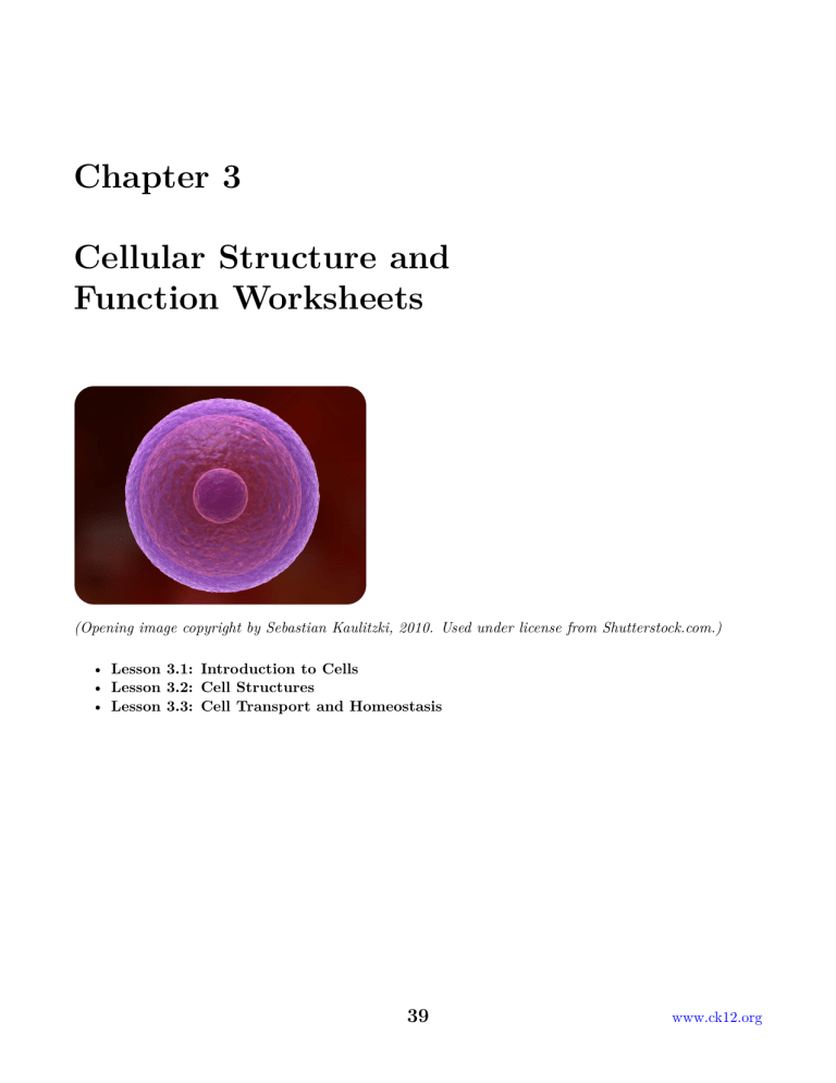 Cellular Structure And Function Worksheets Answers
