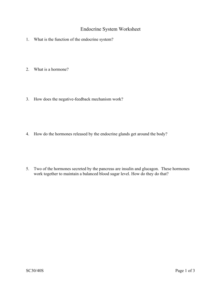 Endocrine System Worksheet