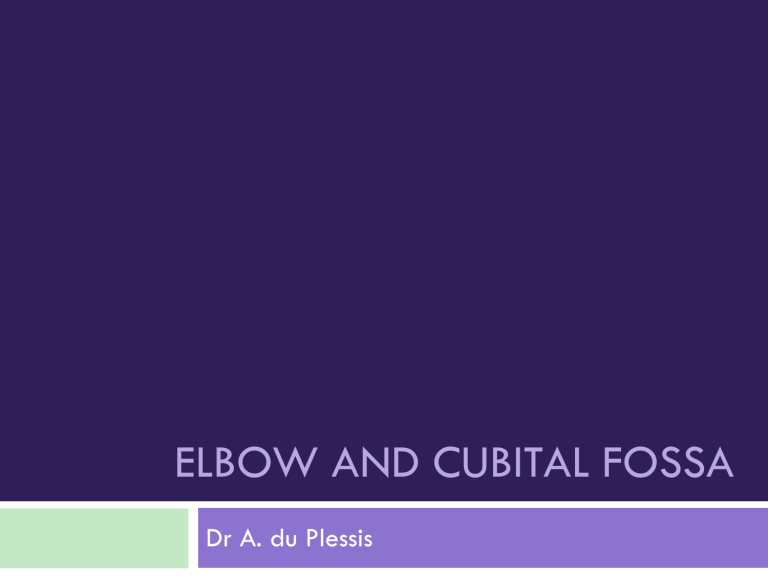 Elbow & Cubital Fossa Anatomy: Presentation