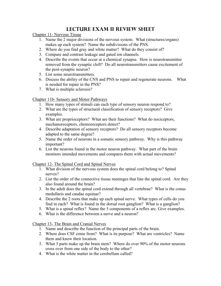 Physiology Review Sheet II