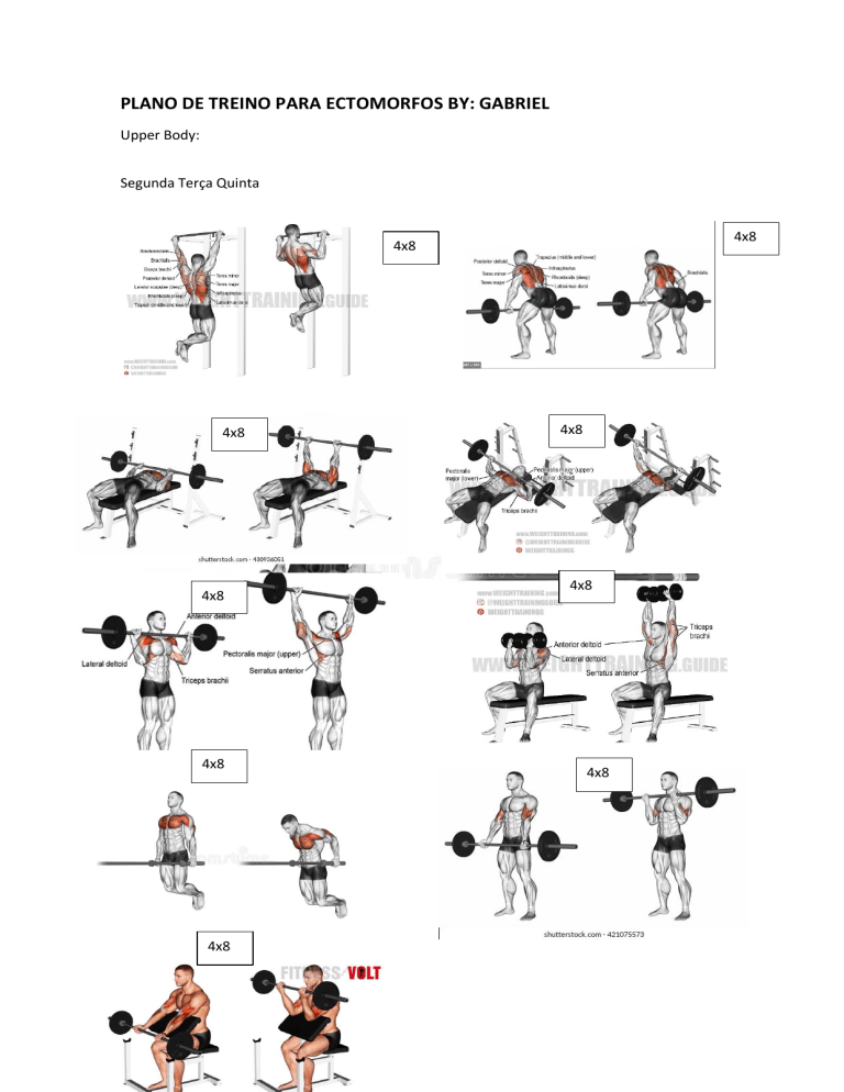 Ectomorph Upper Body Workout Plan