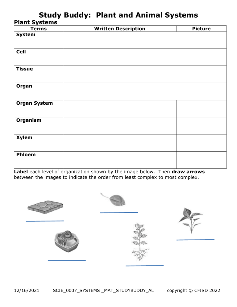 Plant & Animal Systems Study Guide