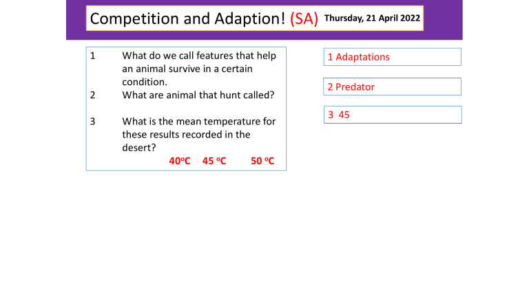 Competition and Adaptation Worksheet
