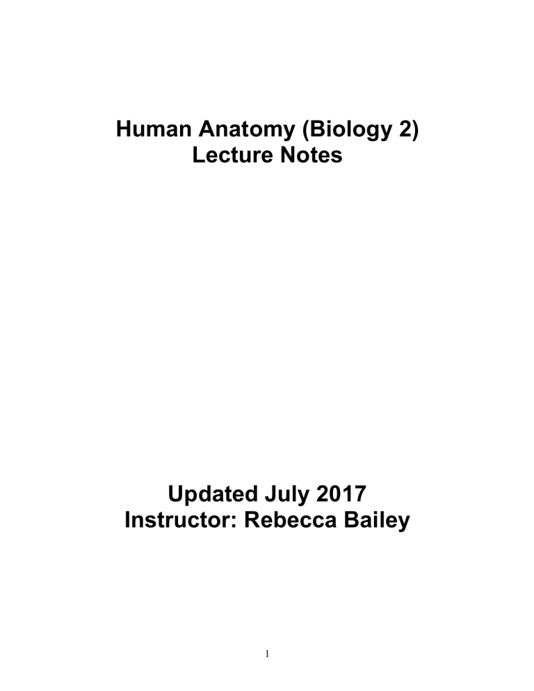Human Anatomy Lecture Notes update 2017
