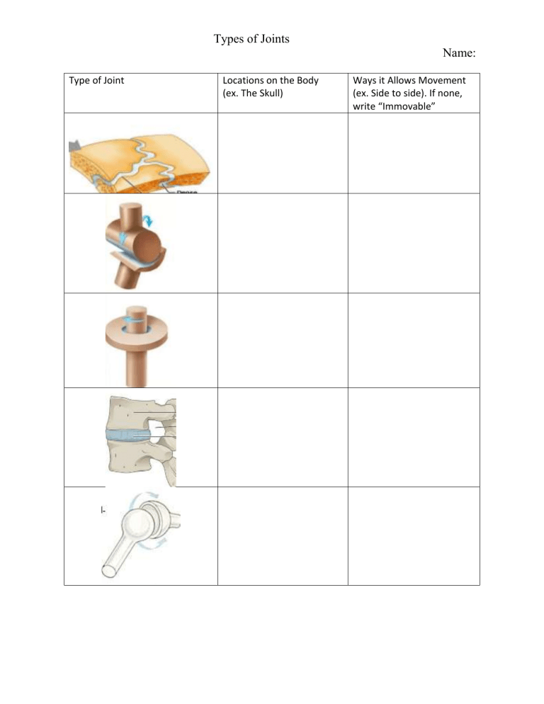 Types Of Joints Worksheet Types Of Joints Worksheet