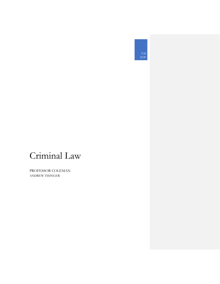  Outline Criminal Law