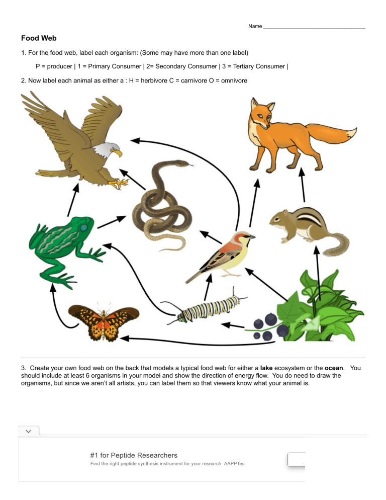 Food Worksheet Producers Consumers And Ecosystems