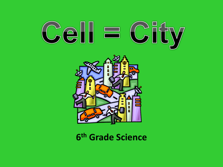 Cell City Ppt Cell City Ppt