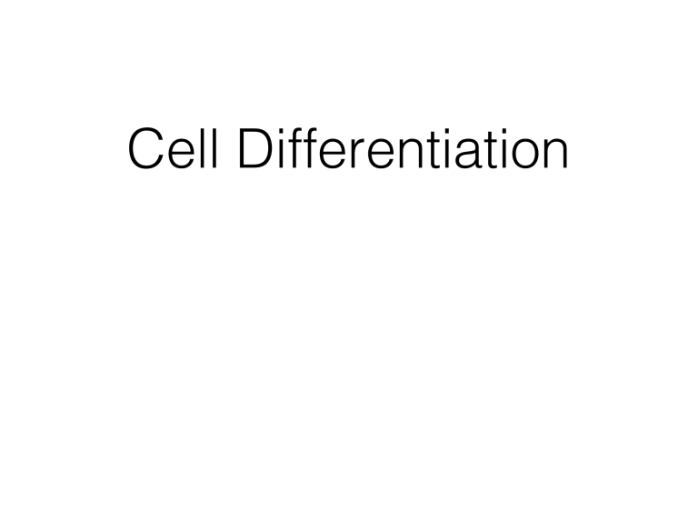 Cell Differentiation: Stem Cells & Specialized Cells