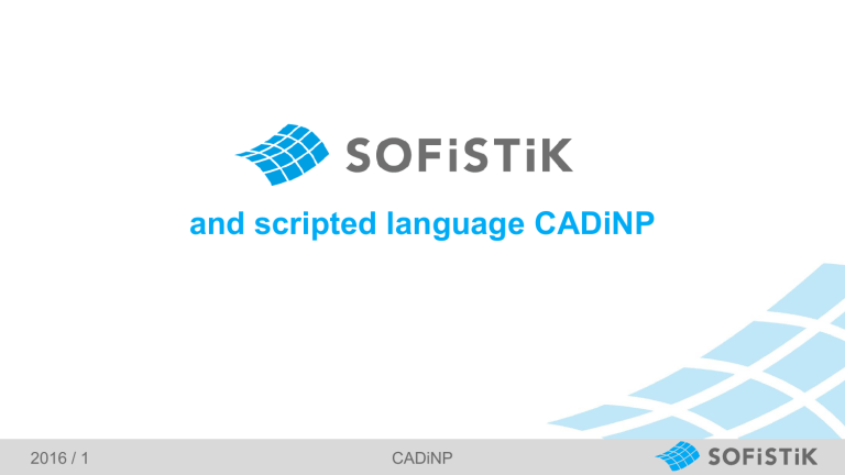 CADiNP Scripted Language for SOFiSTiK