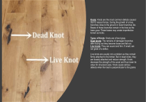 Timber Defects: Knots and Shakes Explained