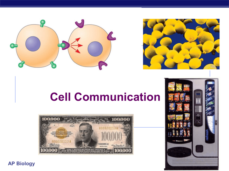 Cell Communication: AP Biology Presentation