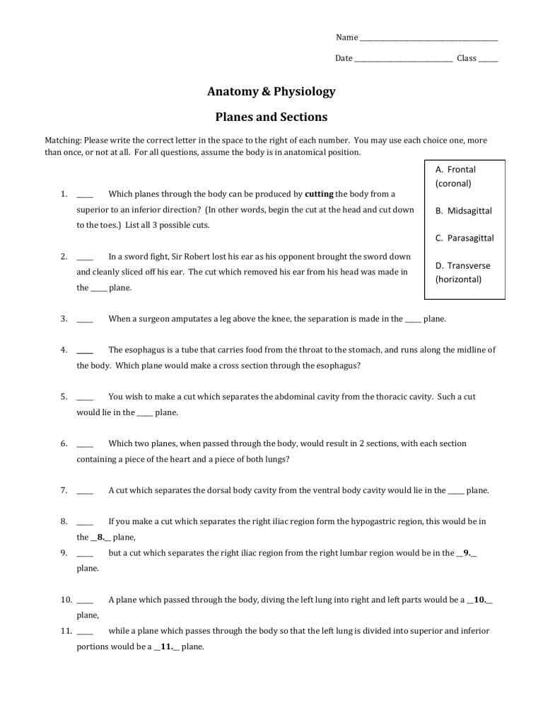 Planes And Sections Worksheet