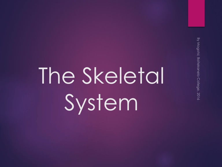 The Skeletal System Joints Complete Notes