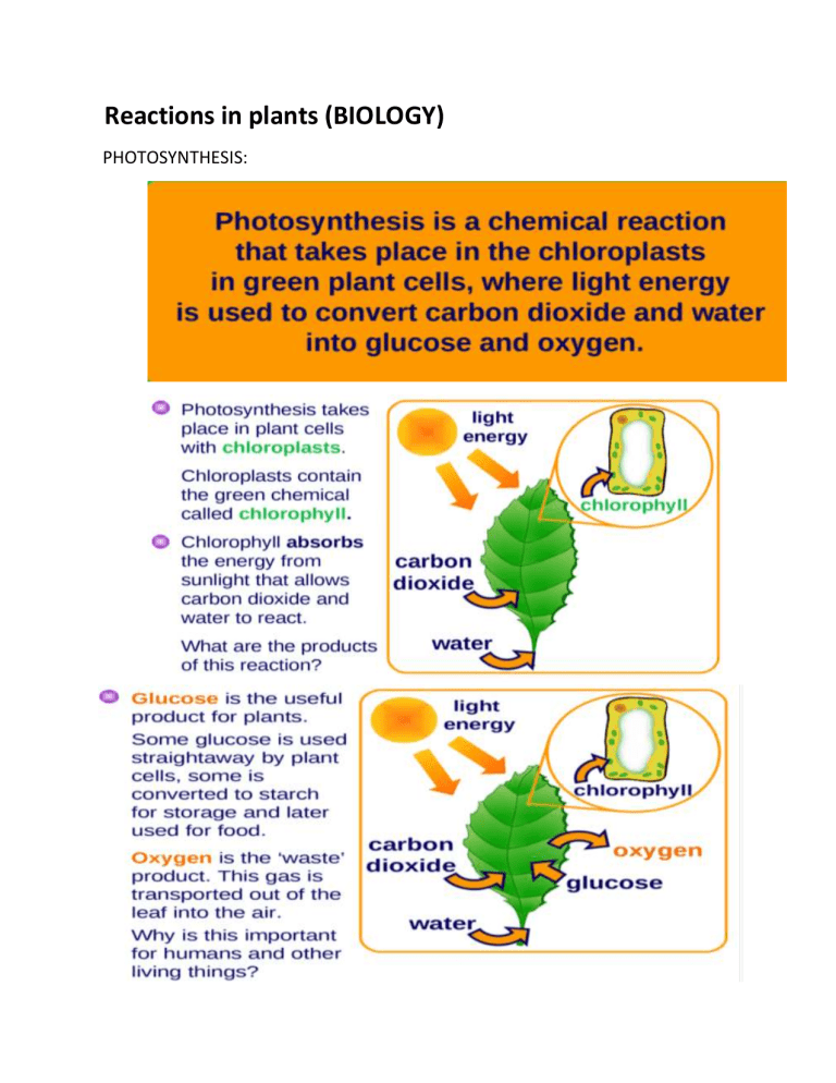 Reactions In Plants