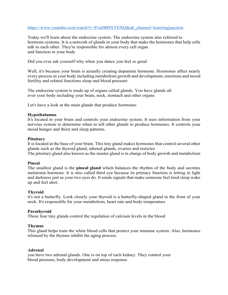 Endocrine System Answer Key