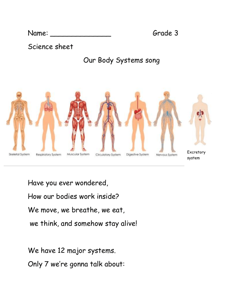 Human Body Systems