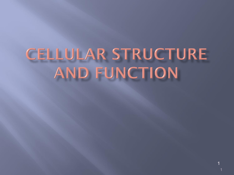 The Cell Structure And Function