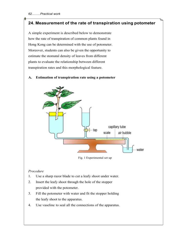 Transpiration Measurement Potometer Stomatal Density