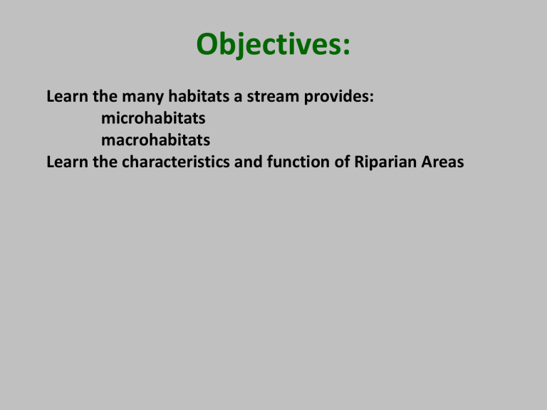 Stream Habitats: Micro, Macro, and Riparian Areas