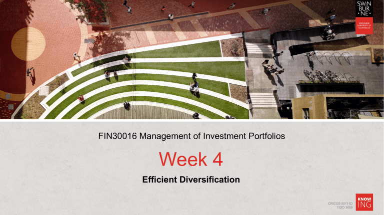 Efficient Diversification in Investment Portfolios