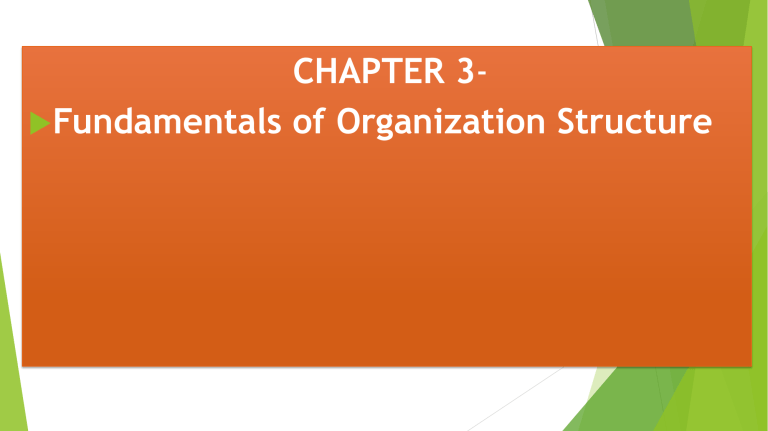 Organization Structure Fundamentals