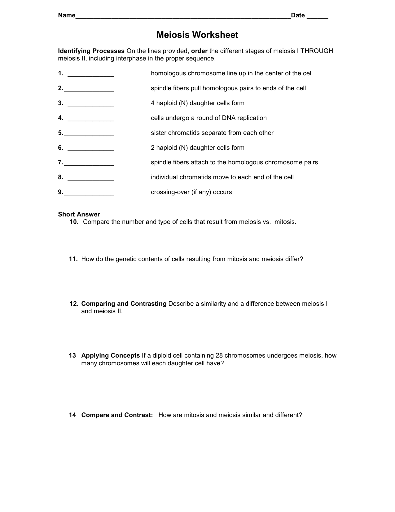 Mitosis And Meiosis Worksheet Answers