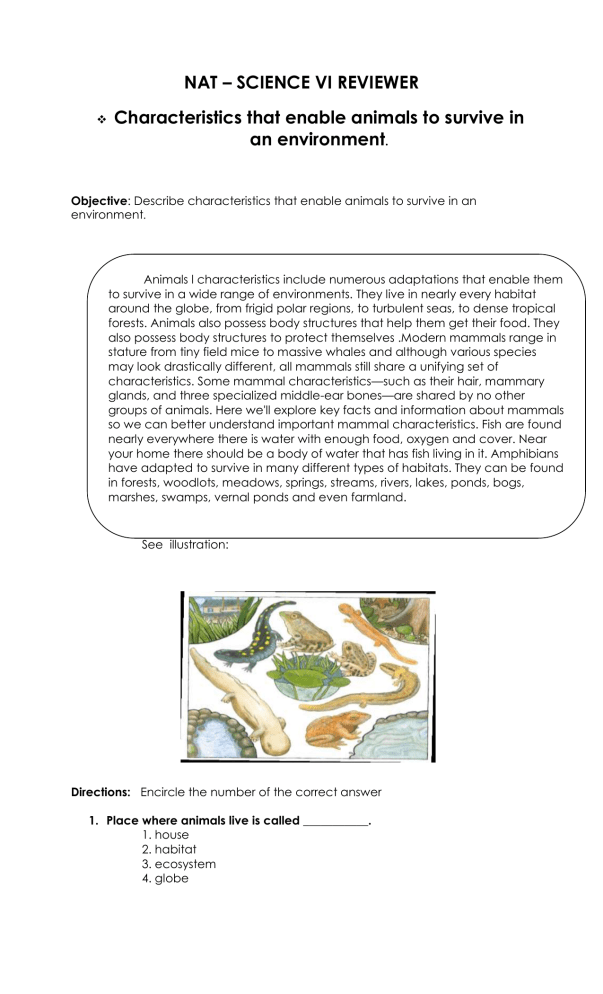 Science Reviewer: Animal Adaptations & Systems
