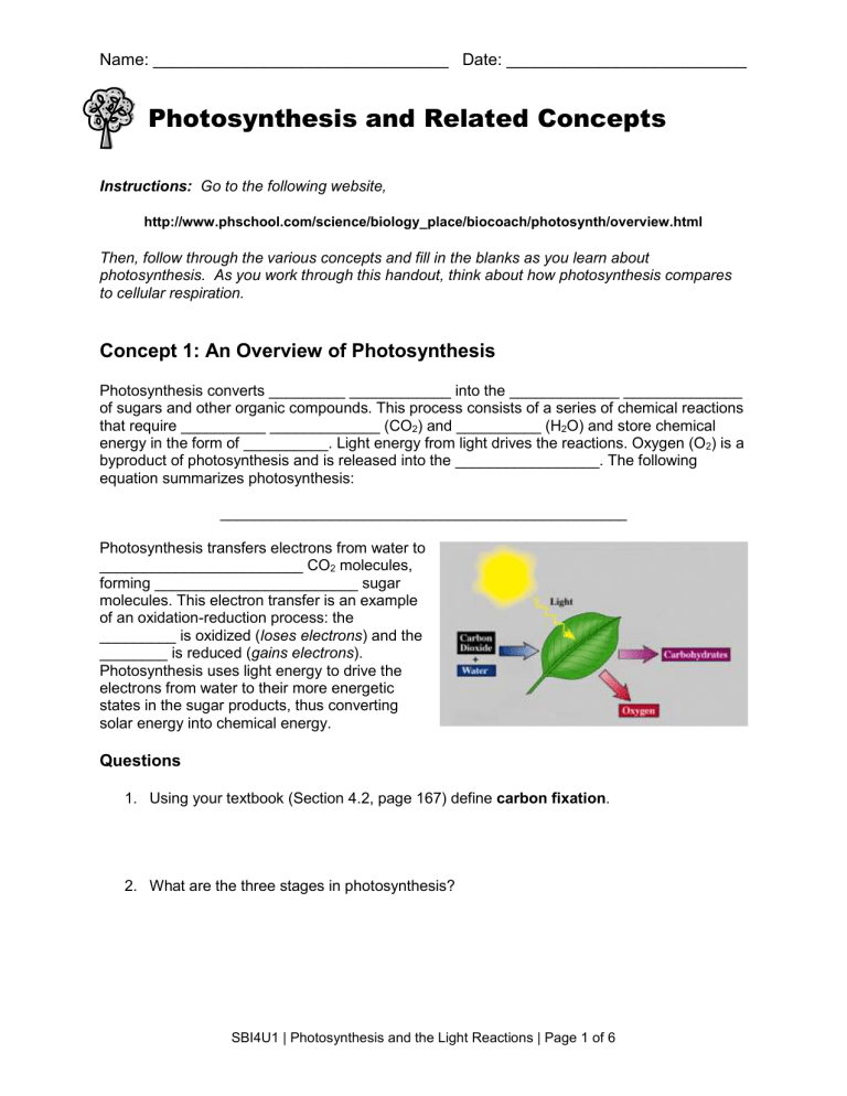 GIZMO PHOTOSYNTHESIS