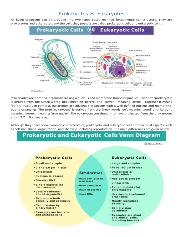 Prokaryotes Vs Eukaryotes Definations Structures 49 OFF Prokaryotes Vs Eukaryotes Definations Structures 49 OFF