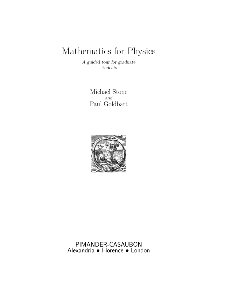 mathematics in physics