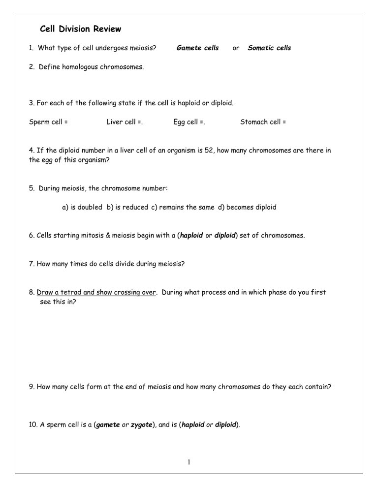 Cell Division Review Worksheet