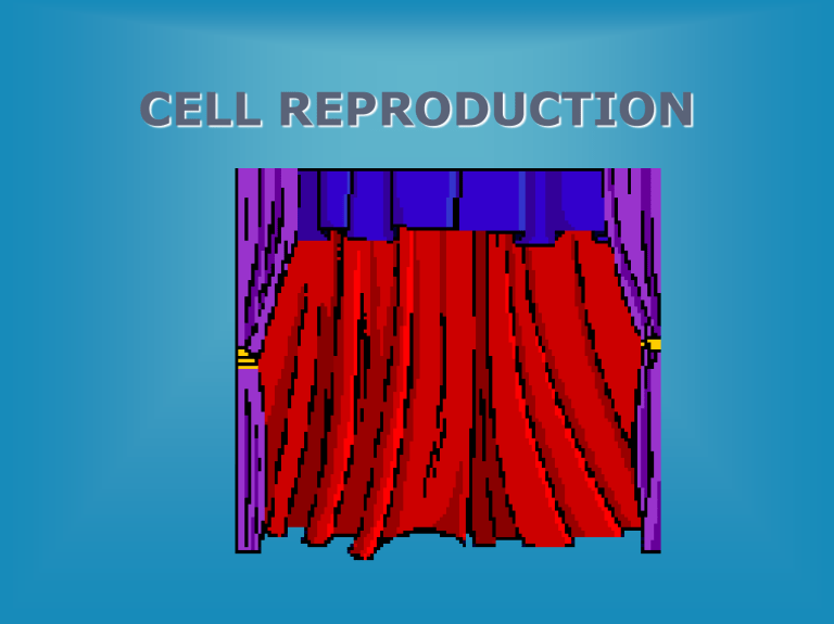 5 Cell Cycle And Mitosis 5 Cell Cycle And Mitosis