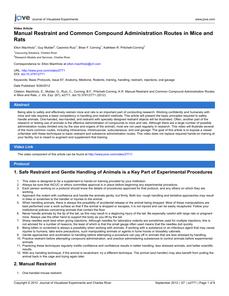Rodent Restraint & Compound Administration Techniques
