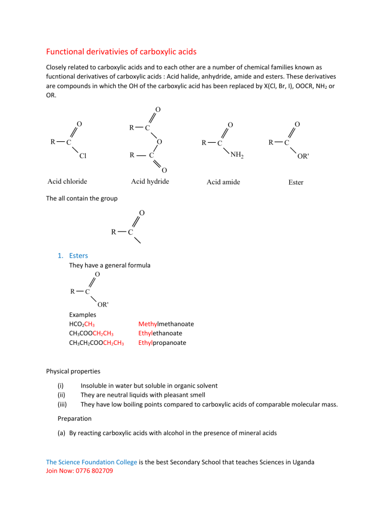 Carboxylic Acid Derivatives: Esters, Halides, Amides