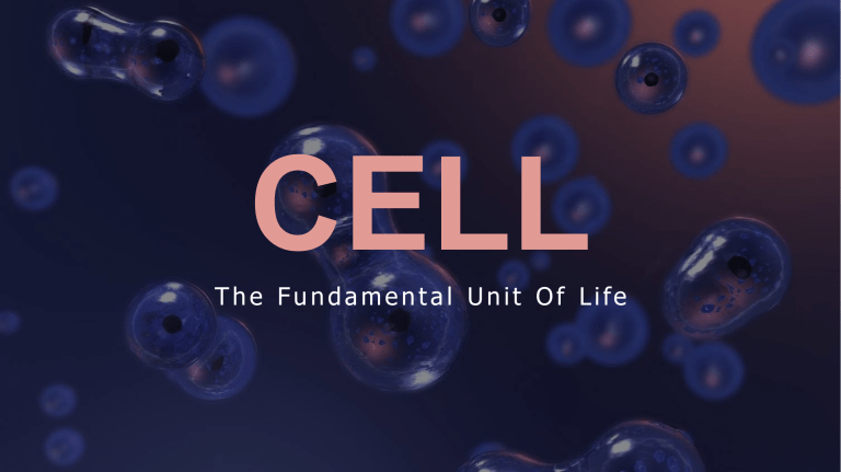 1 Cell Structure And Types