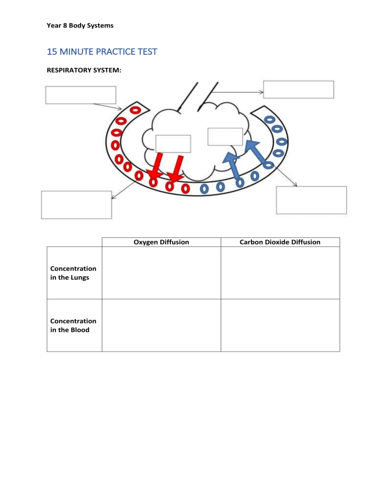 YEAR 8 Body Systems PRACTICE TEST