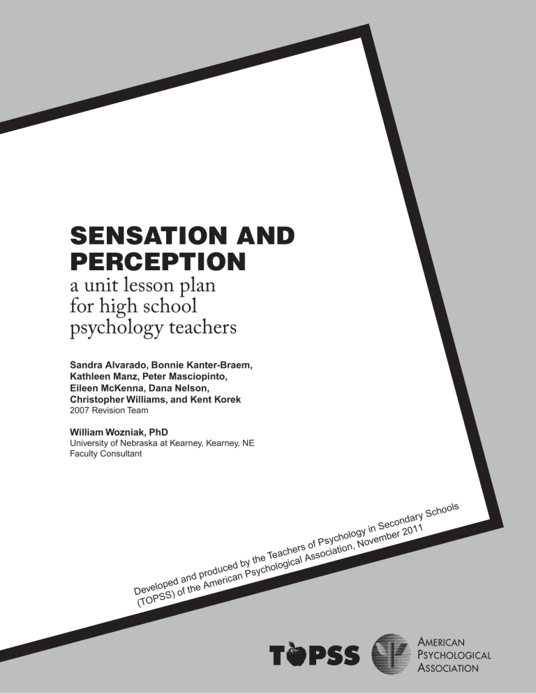 Sensation and Perception Lesson Plan for High School Psychology