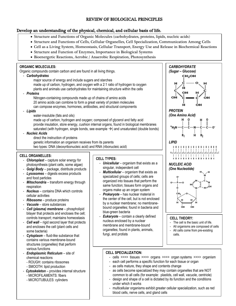 Biology Review: Cells, Molecules, and Life Processes