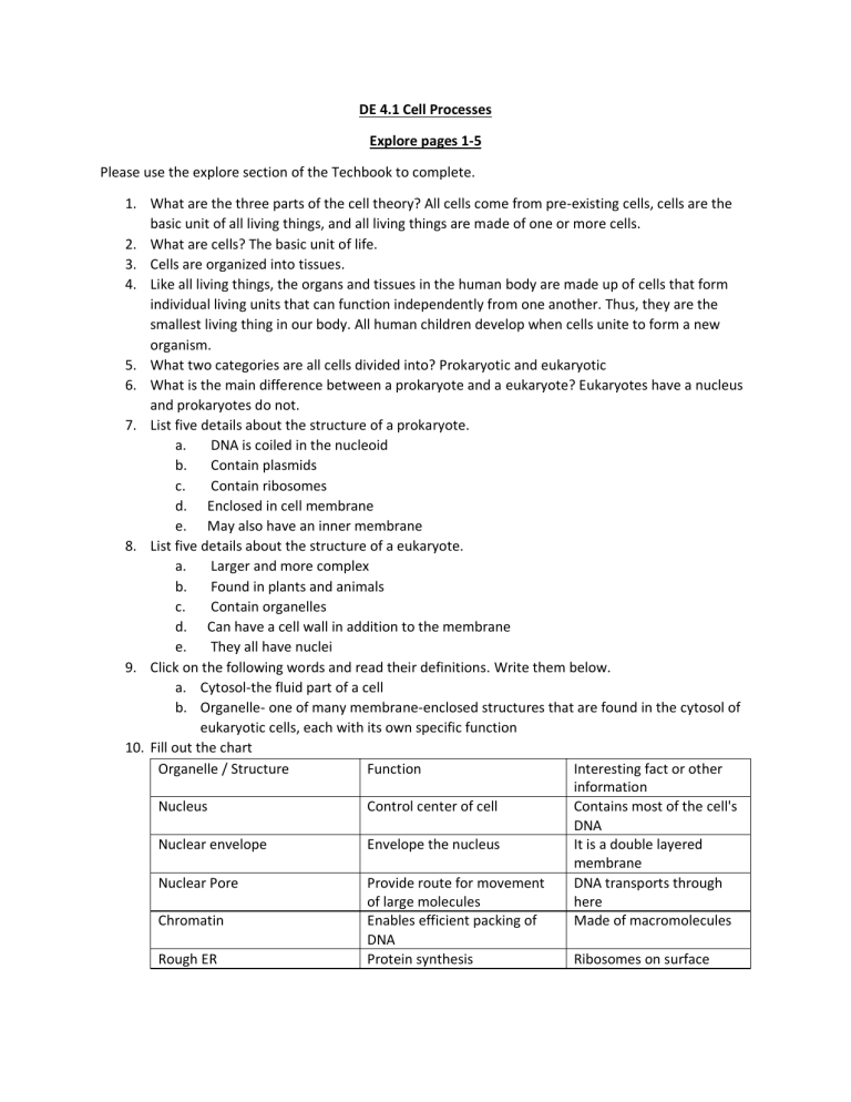 DE 4 1 CEll Processes Worksheet Pgs 1 3