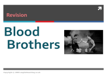 Blood Brothers Revision Notes: Themes, Characters, Analysis
