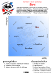 Flow State Diagram: Psychology of Optimal Experience