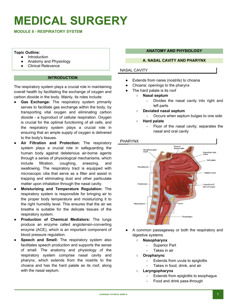 Respiratory System Anatomy & Physiology Module