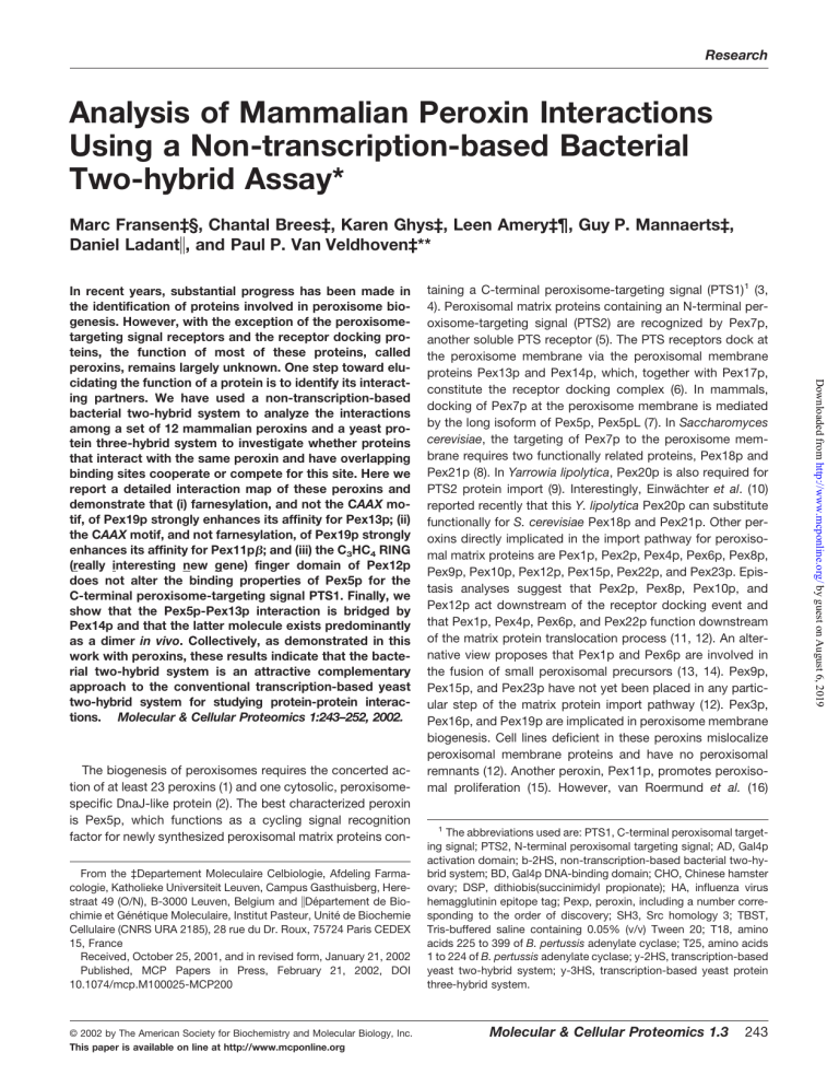 Mammalian Peroxin Interactions: Bacterial Two-Hybrid Assay