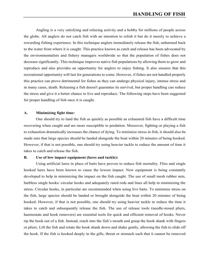 Fish Handling Guide: Catch and Release Techniques