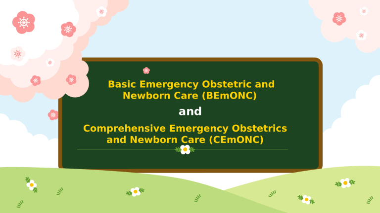 BEmONC & CEmONC: Emergency Obstetric & Newborn Care